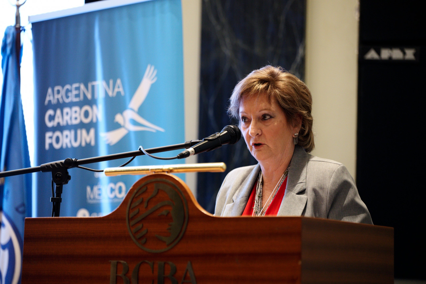 🌍 Argentina Carbon Forum 2024: ¡El futuro del mercado de carbono está ...